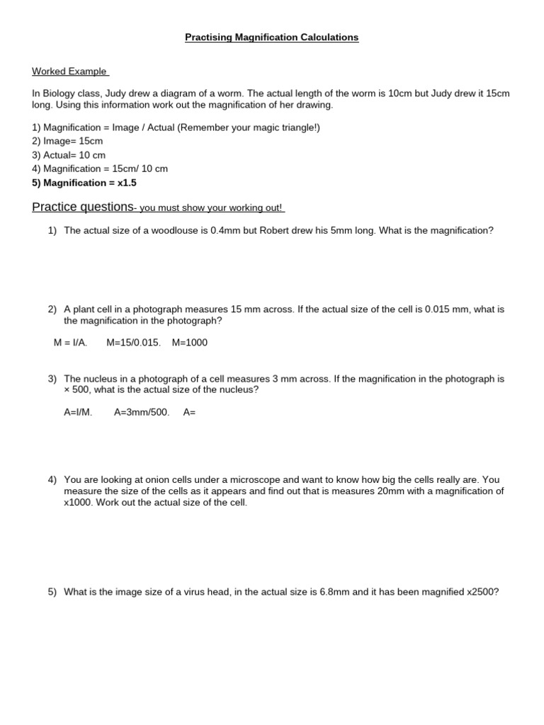 Practising Magnification Questions lesson work | PDF