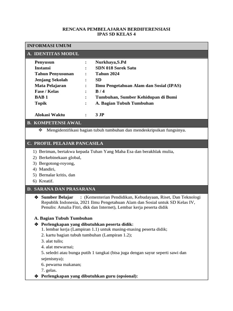 RPP Berdiferensiasi Kse Pi.3 Nurkhaya | PDF