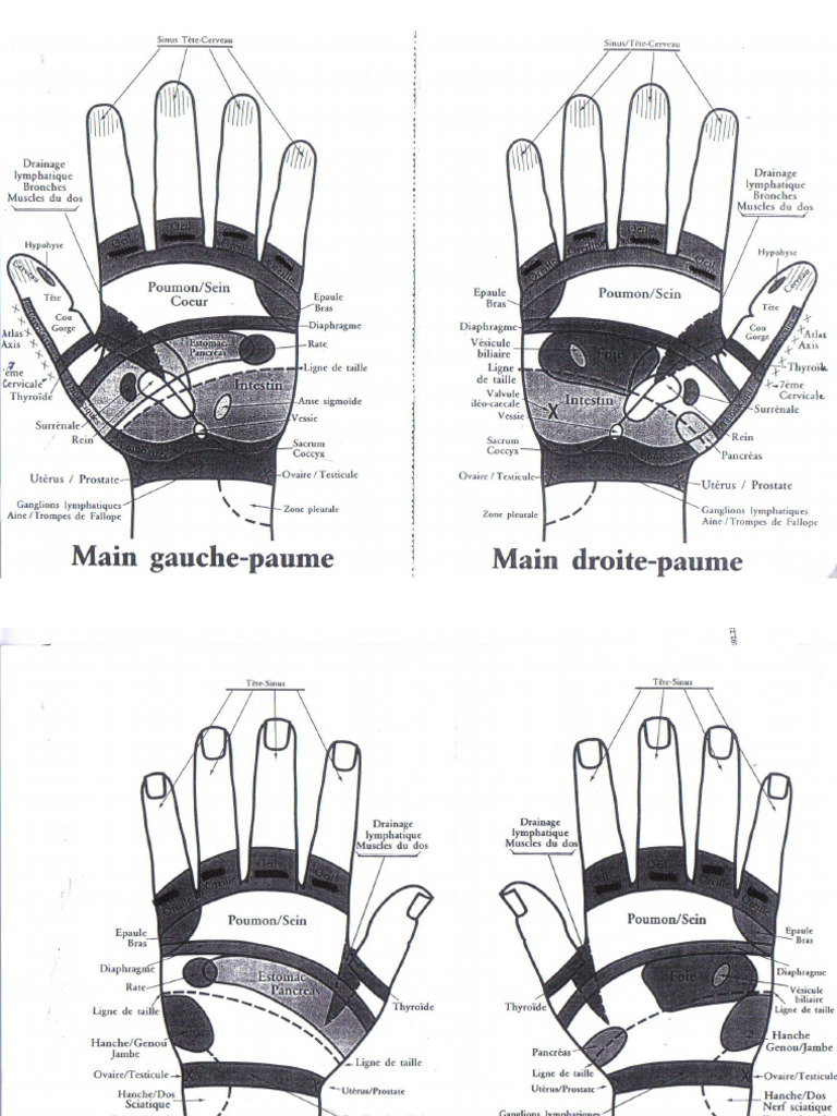 Zones Reflexes de La Main | PDF