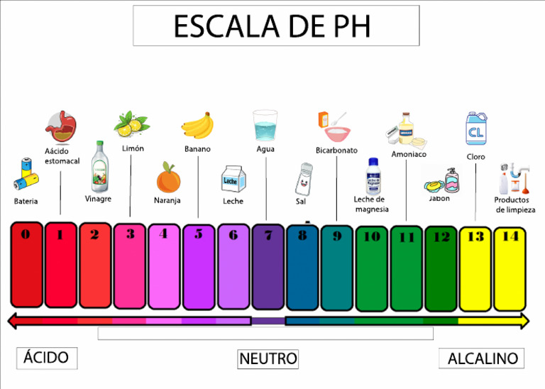 Escala PH Col Morada | PDF