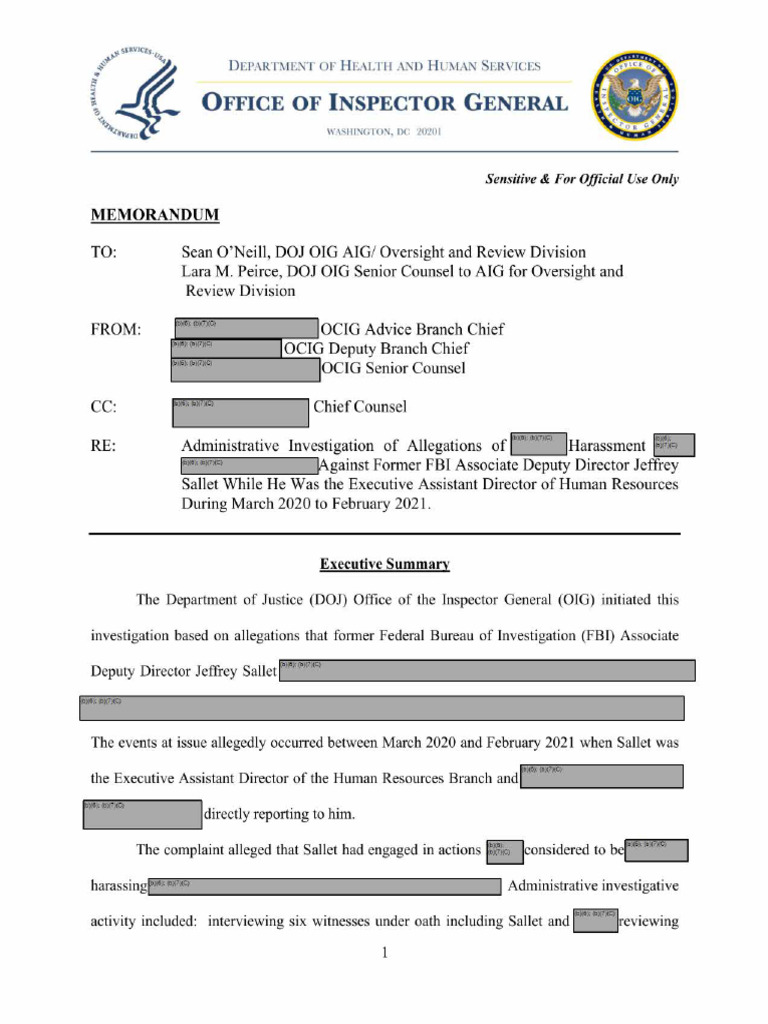 Sallet OIG Report | PDF