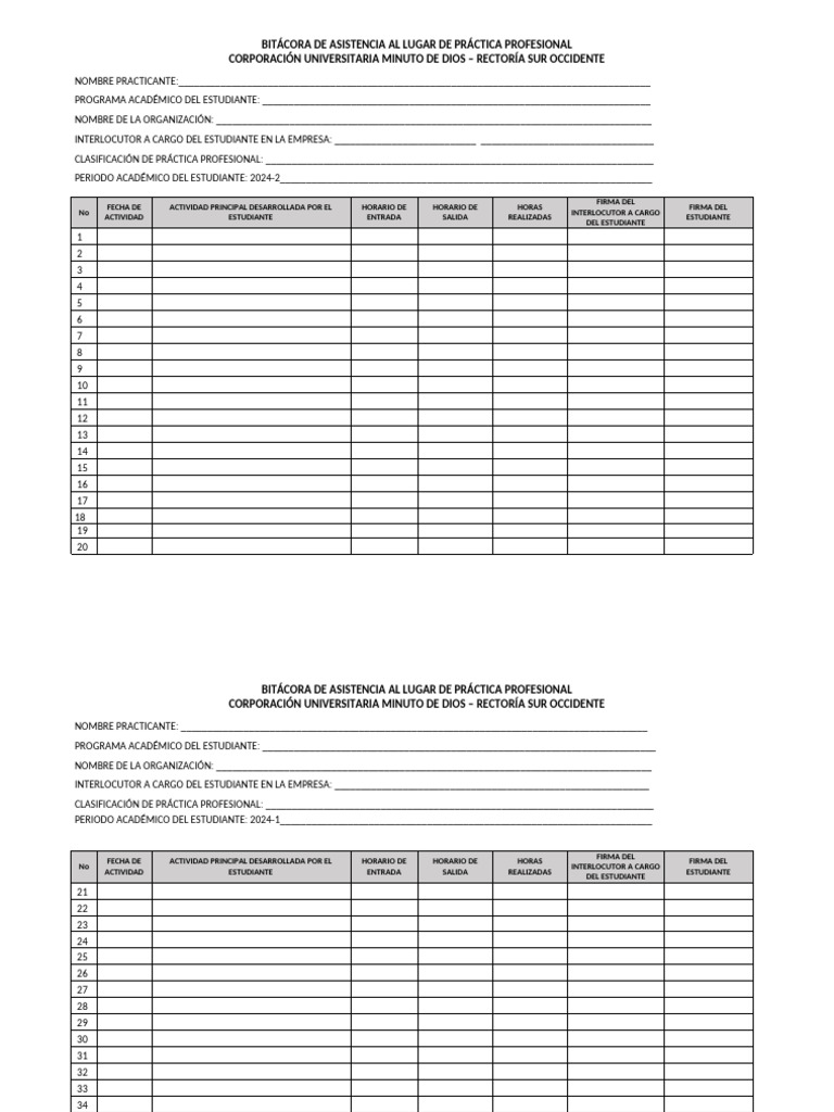 Bitacora Diaria | PDF