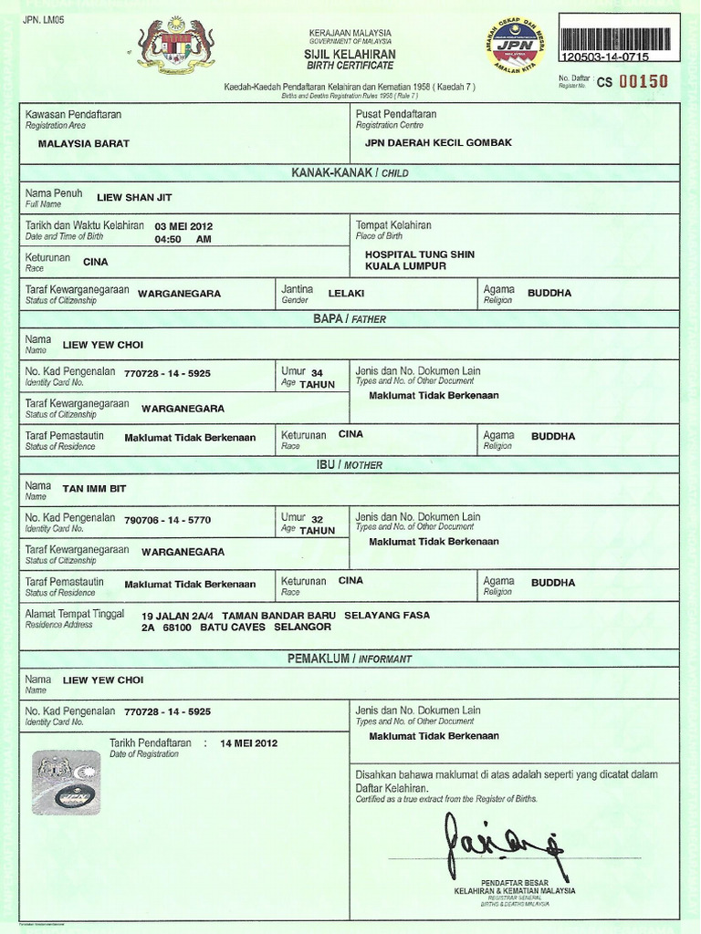 Liew Shan Jit Birth Certificate | PDF