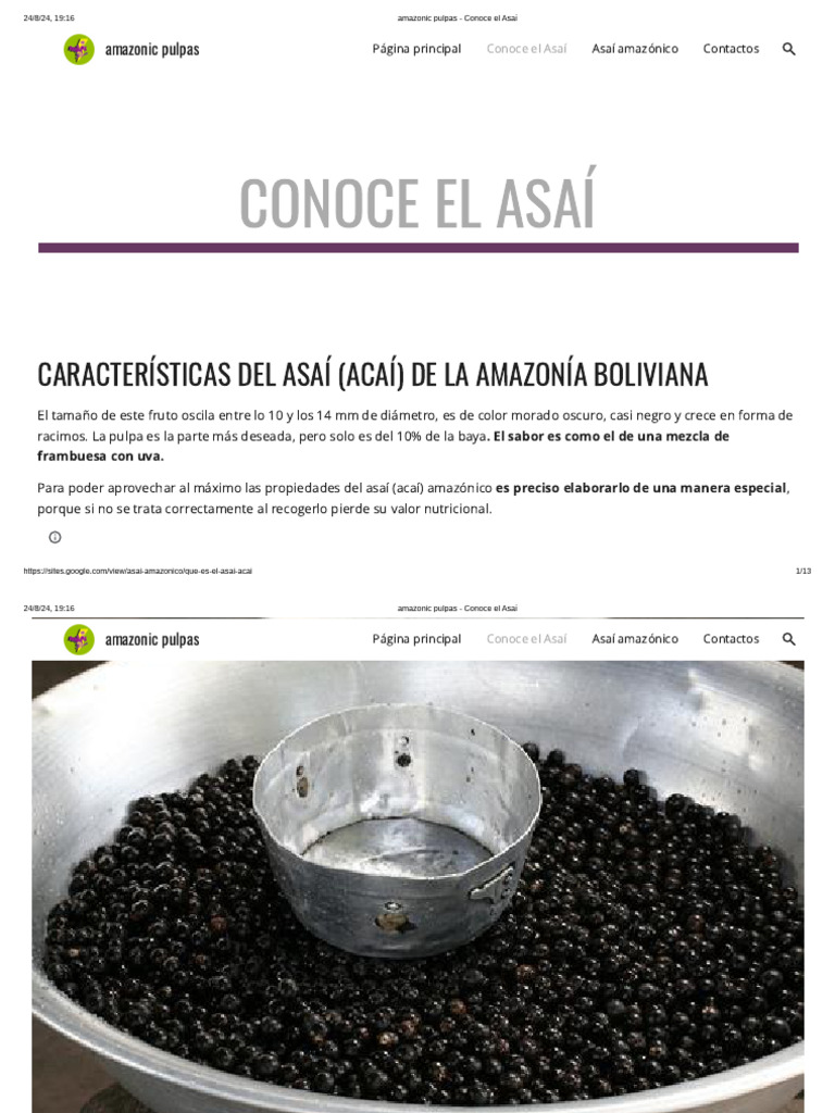 Amazonic Pulpas - Conoce El Asaí | PDF