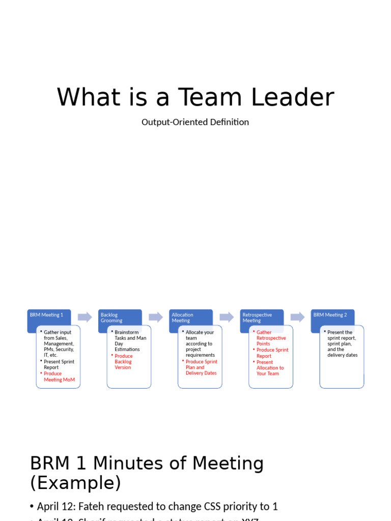 What Is A Team Leader | PDF