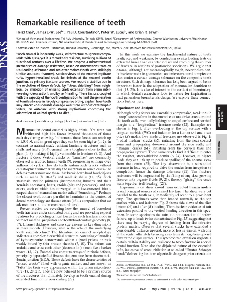 Chai. Remarkable Resilence of The Teeth | PDF