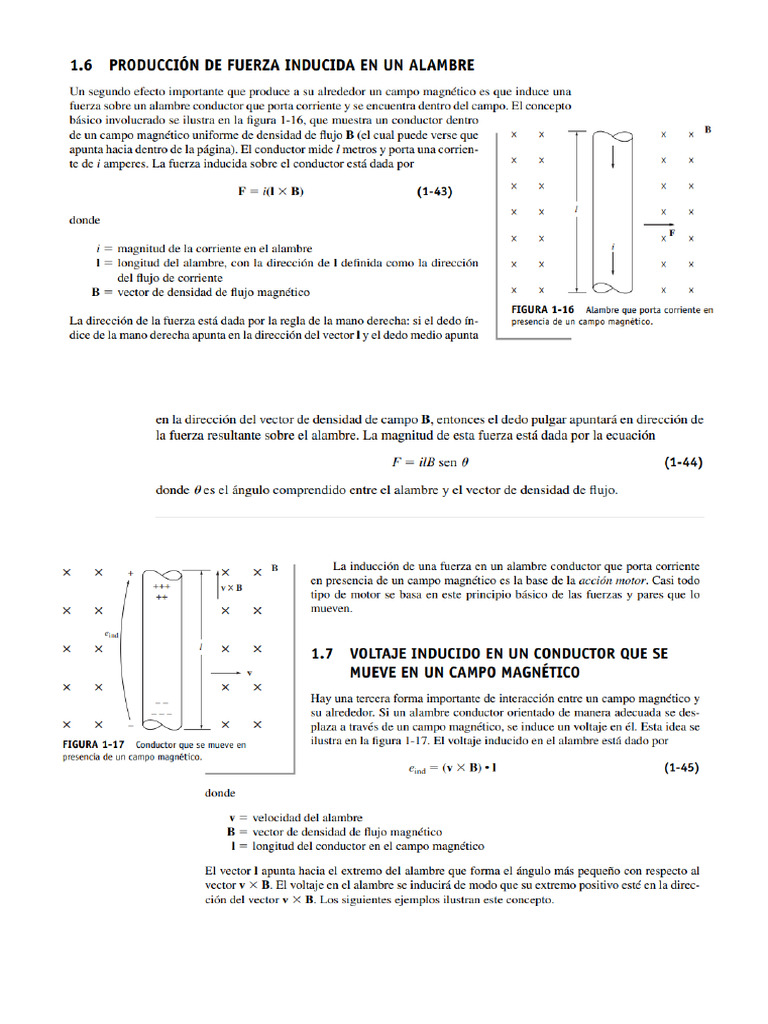 Clase 5 | PDF