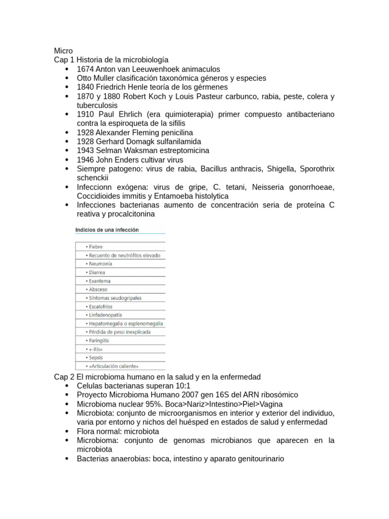 Micro Resume N | PDF