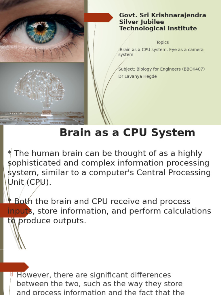 Eye As Camara, Brain As Cpu | PDF