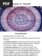 Class 9 Science: Tissues Revision Notes | PDF | Epithelium | Tissue ...