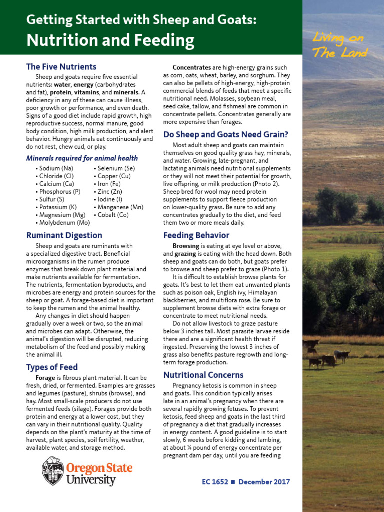 Getting Started With Sheep and Goats___Nutrition and Feeding | PDF