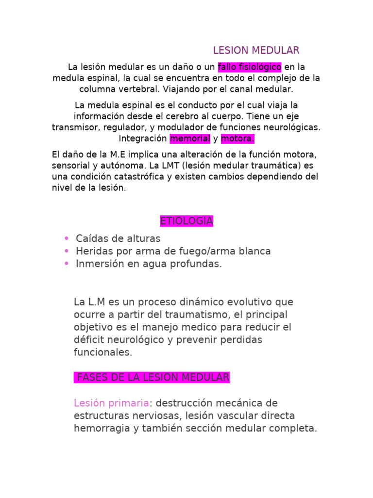 Lesión Medular: Causas y Manejo Clínico | PDF | Lesión de la médula ...