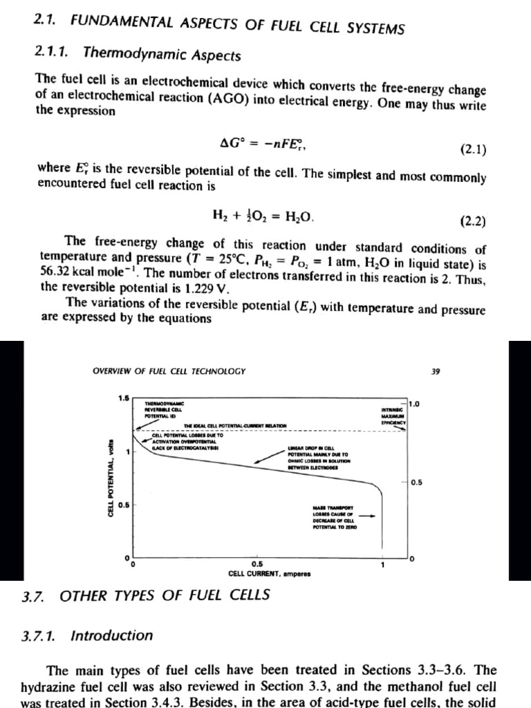 Fuel cell | PDF