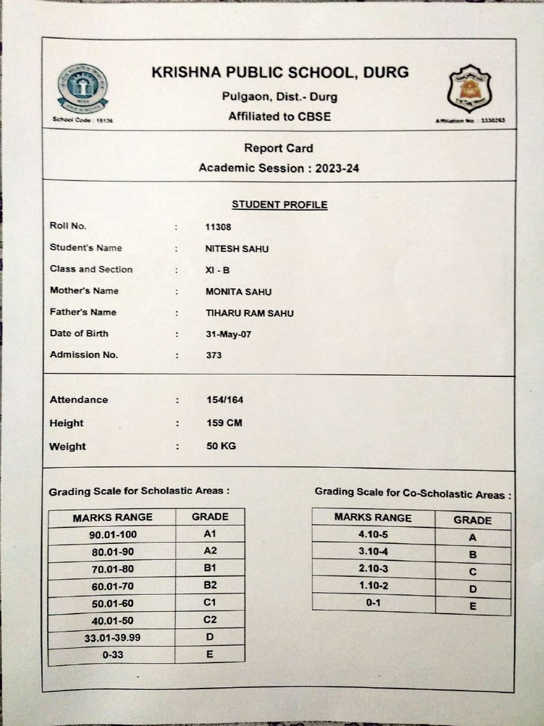 Ns 11th Marksheet | PDF