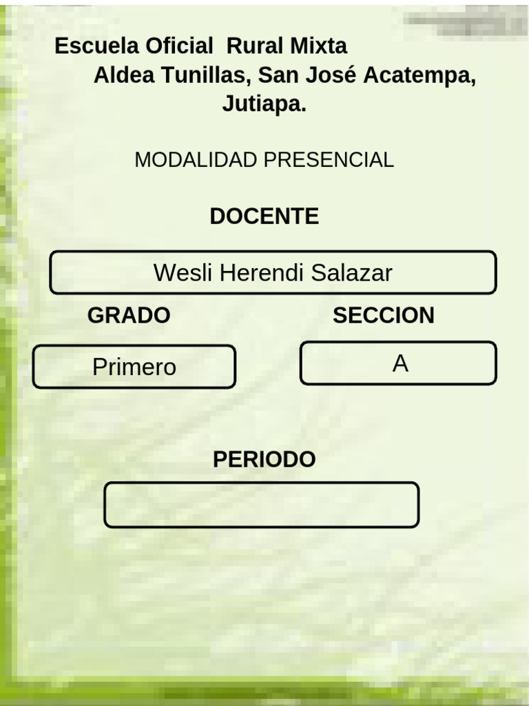 Wesli Primero Informe 2020 | PDF