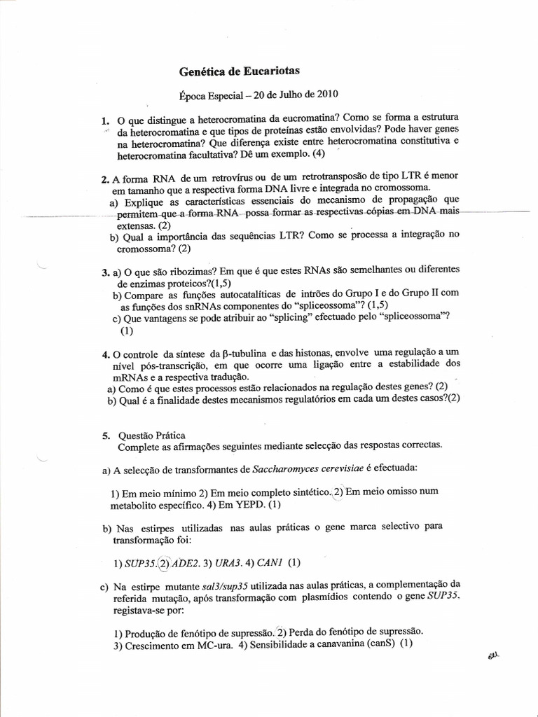 Época Especial 2010 | PDF