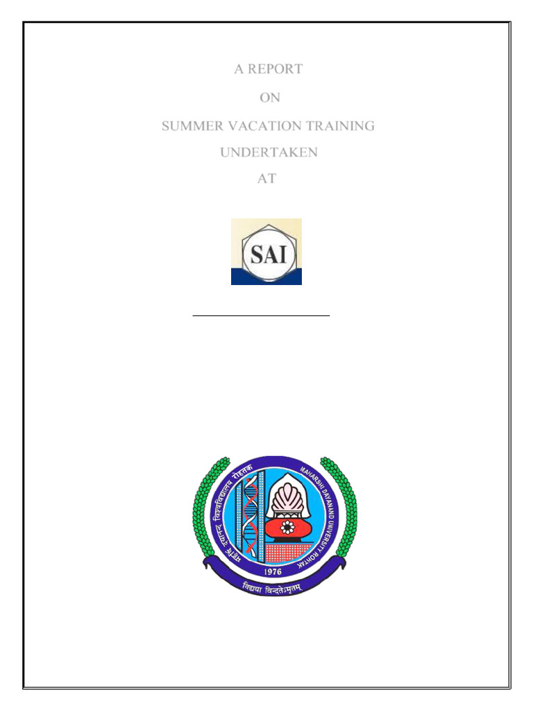 Summer Vacation Report | PDF