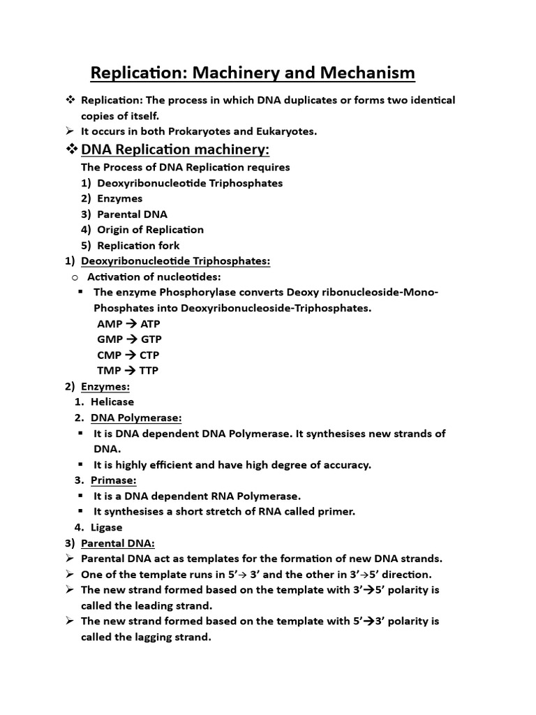 Replication of DNA | PDF