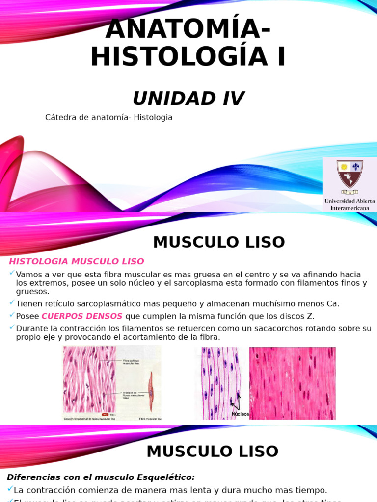 CLASE 8-9 Anato | PDF