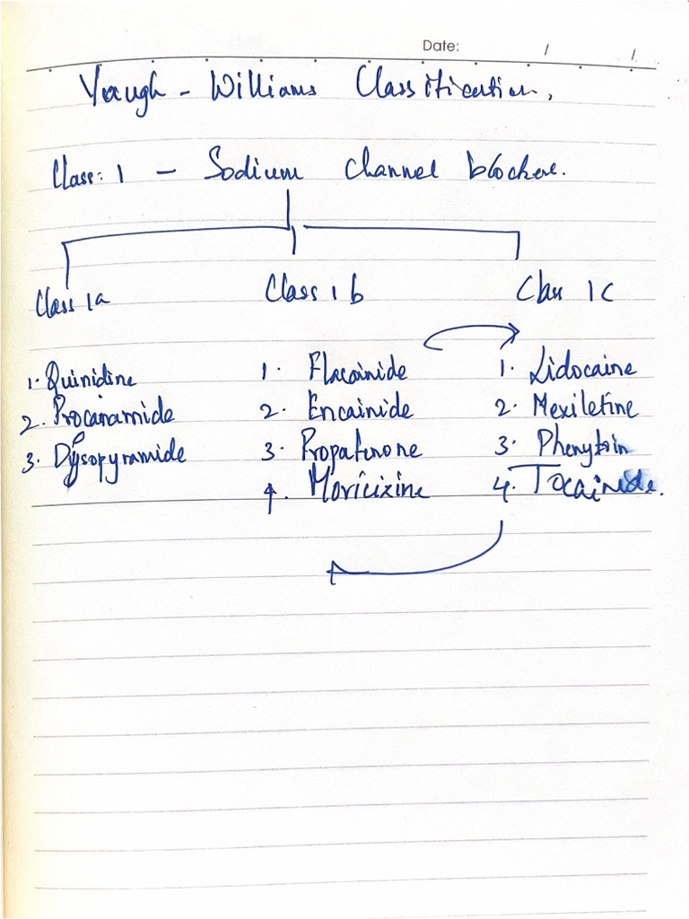 Sodium Challenge Blockers | PDF