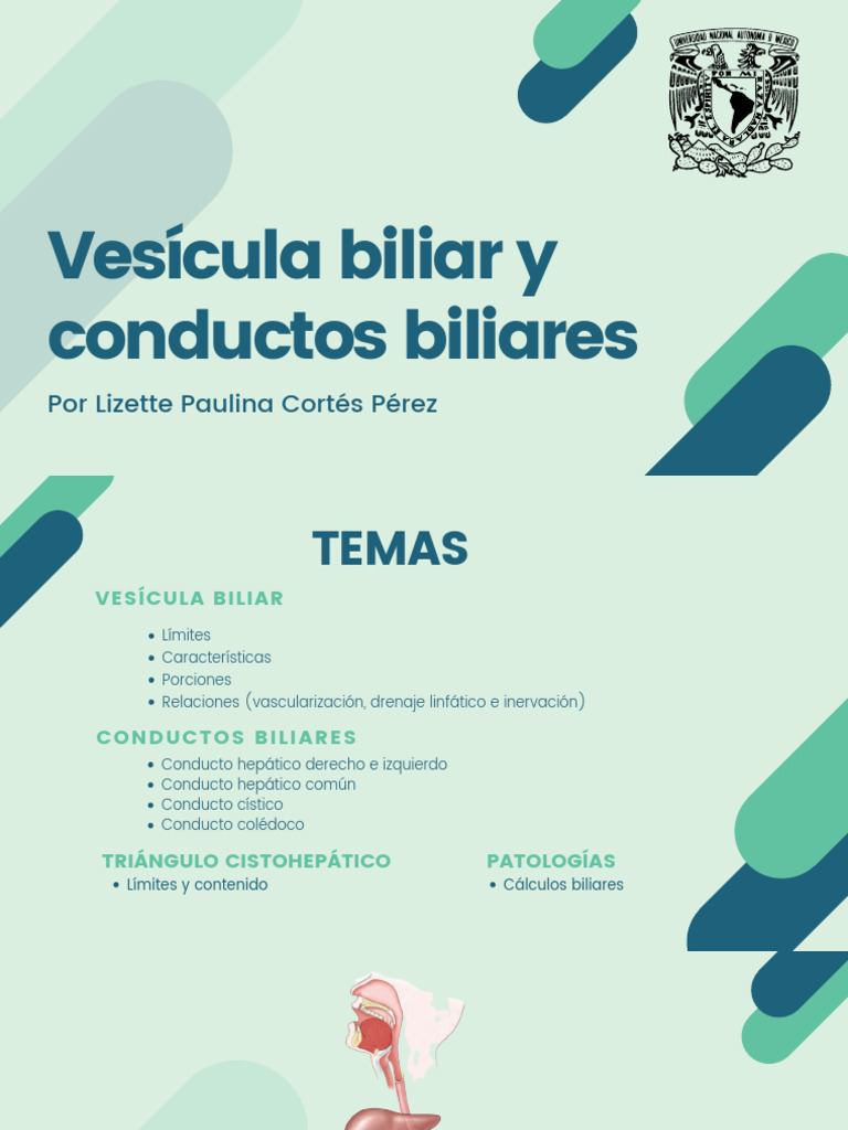 PDF 20230620 090644 0000 | PDF