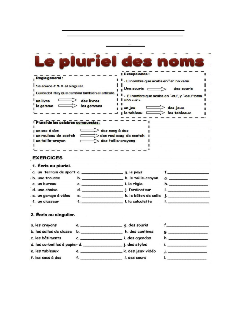 Holiday Assignment - French - Class 8 | PDF