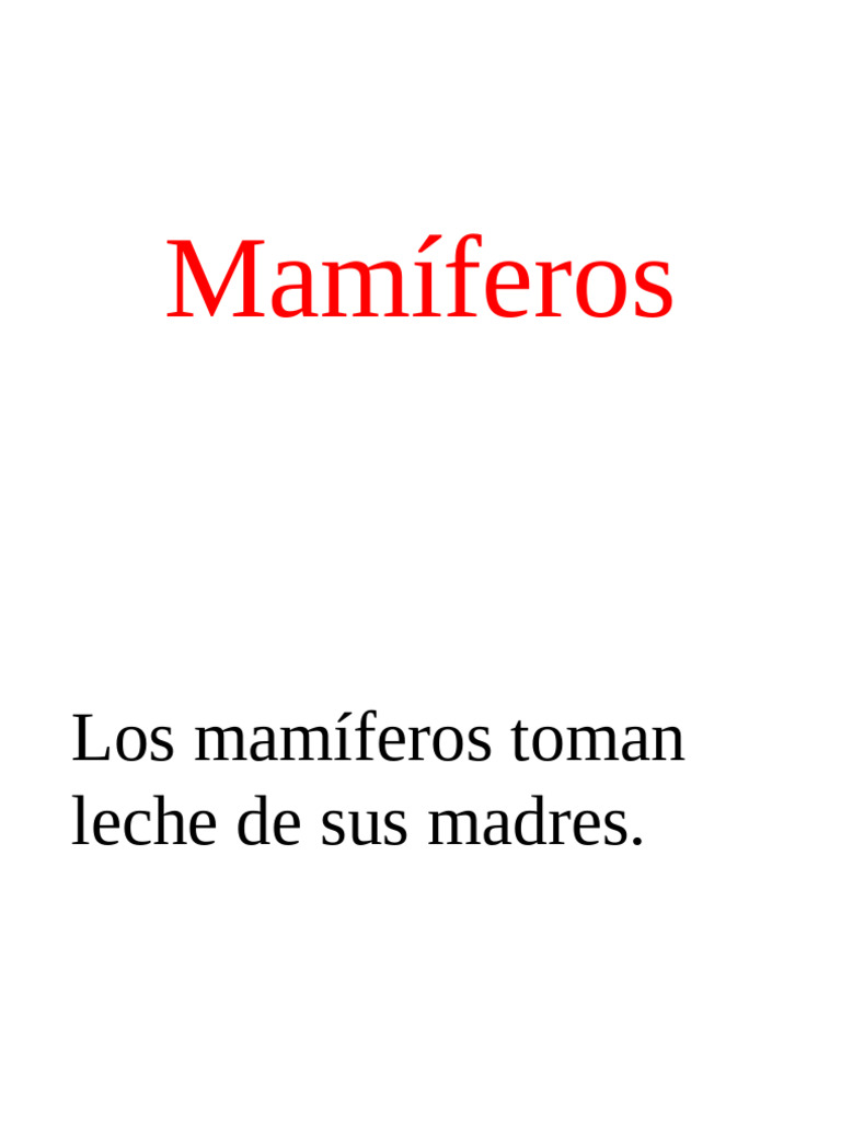 Mamíferos | PDF