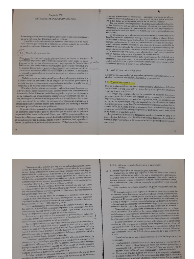 Bravo Valdivieso Cap 7- Niveles de Intervención | PDF