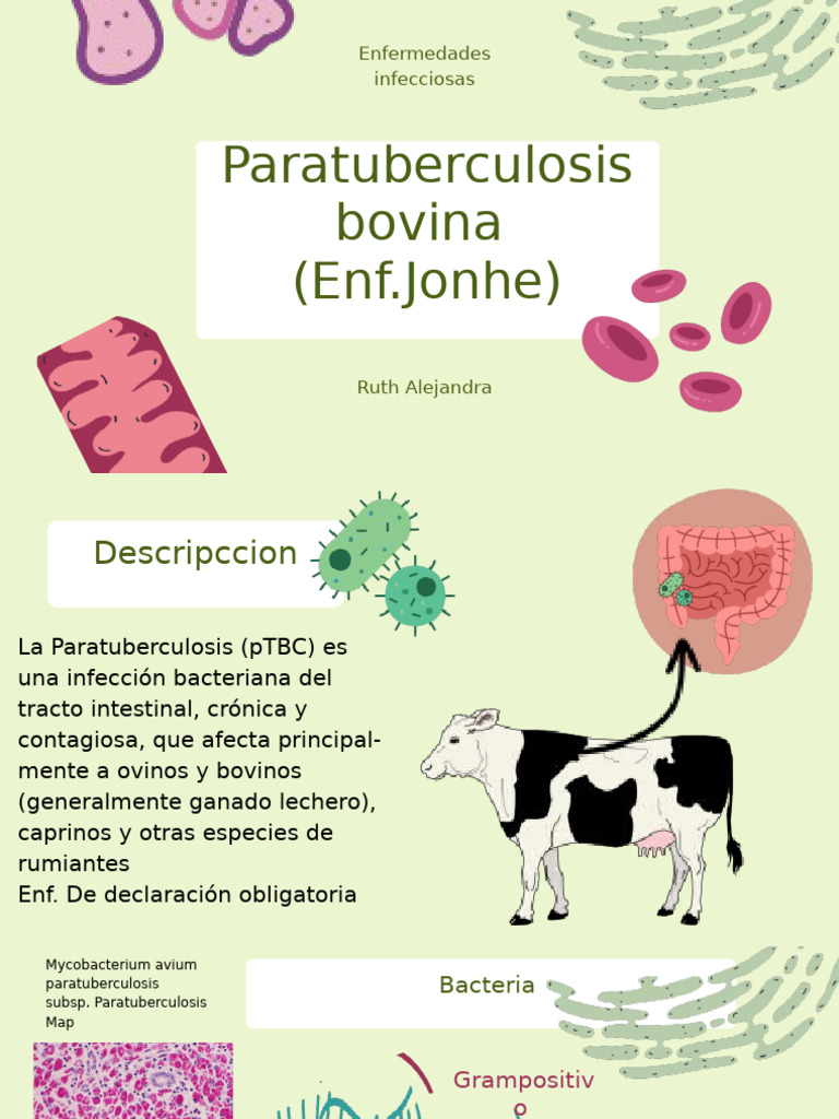 Paratuberculosis | PDF