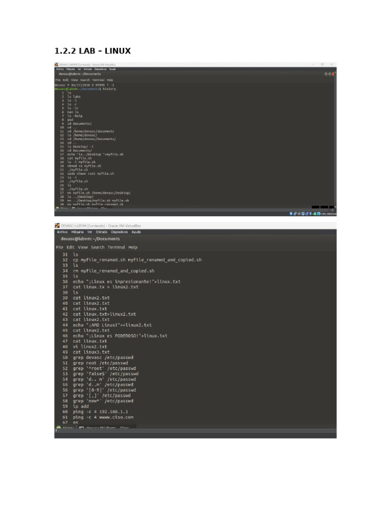 1.2.2 Lab - Linux | PDF