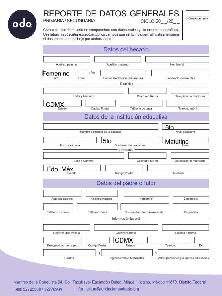 Reporte Datos Primaria Secundaria | PDF