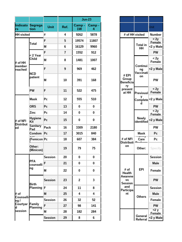 CHWG Report - Jul24 | PDF