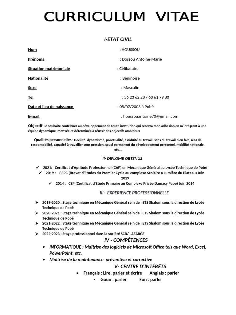 Curriculum Vitae Antoine-Marie | PDF