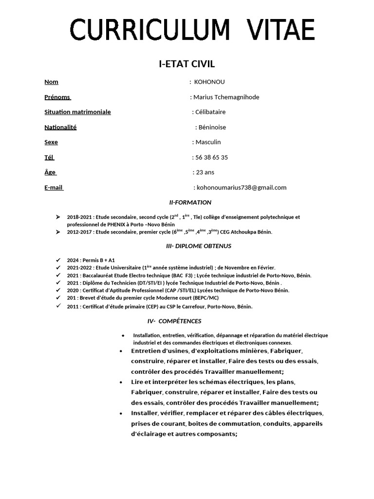CURRICULUM VITAE Marius Aout | PDF