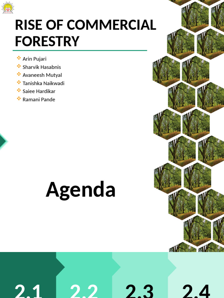 G2 Rise of Commercial Forestry AIP | PDF