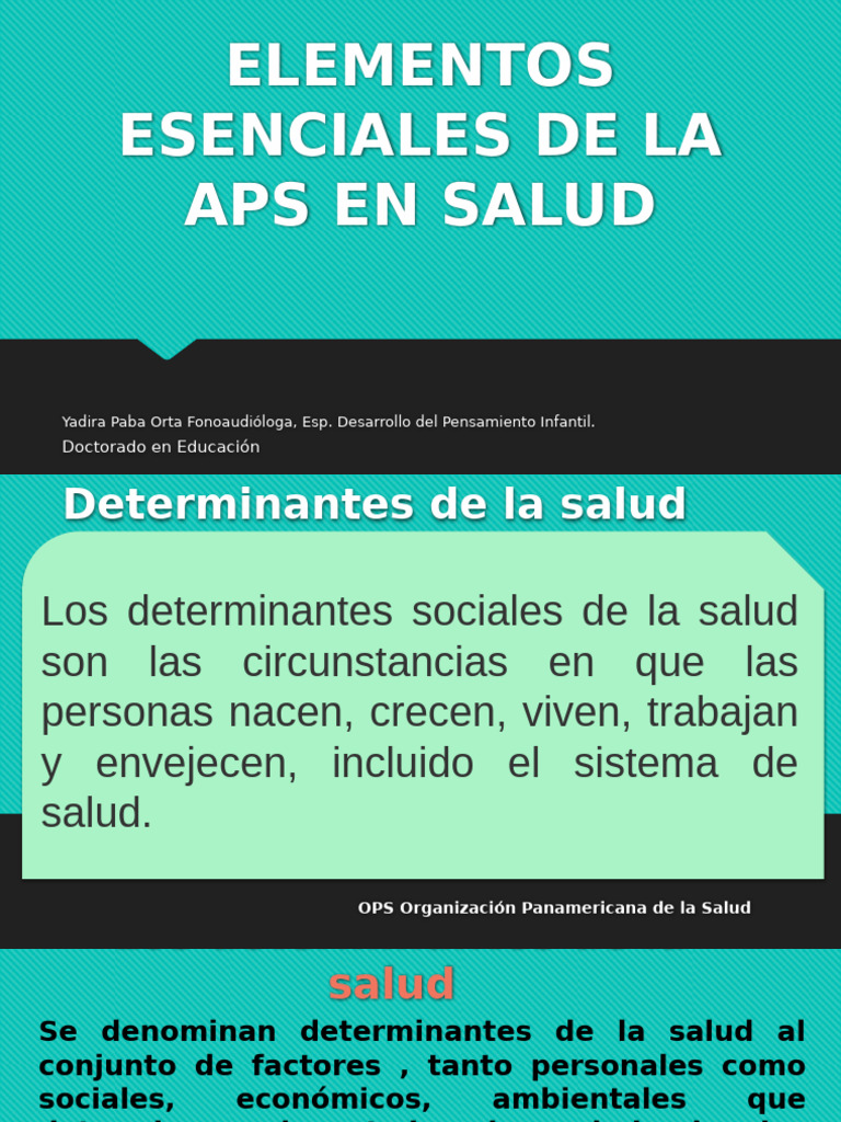 ELEMENTOS ESENCIALES DE LA APS EN SALUD Modificado | PDF