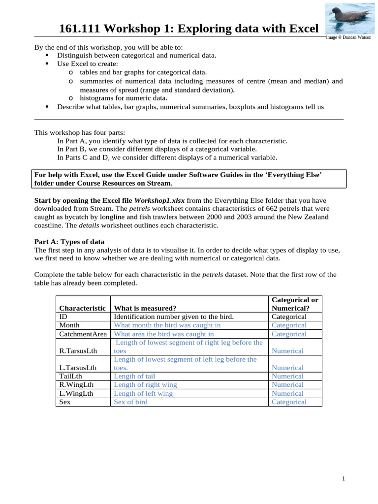 Workshop 1 (Exploring Data With Excel) | PDF
