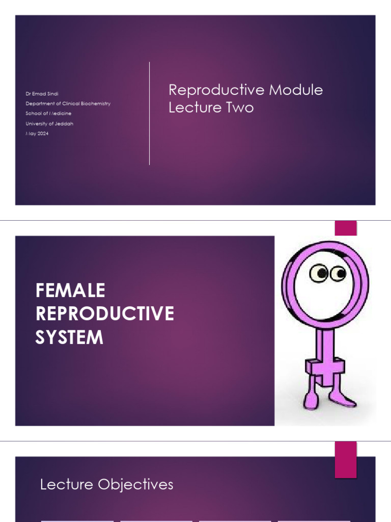 Female Reproductive Lecture 2 | PDF