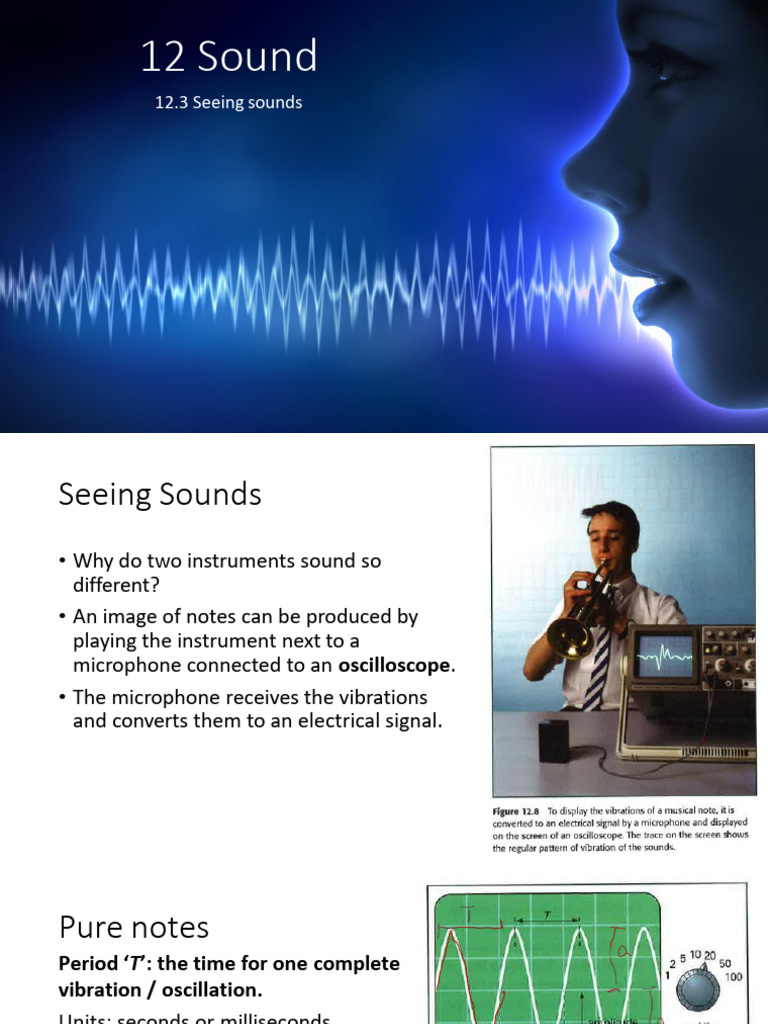 12.3 Seeing Sounds | PDF