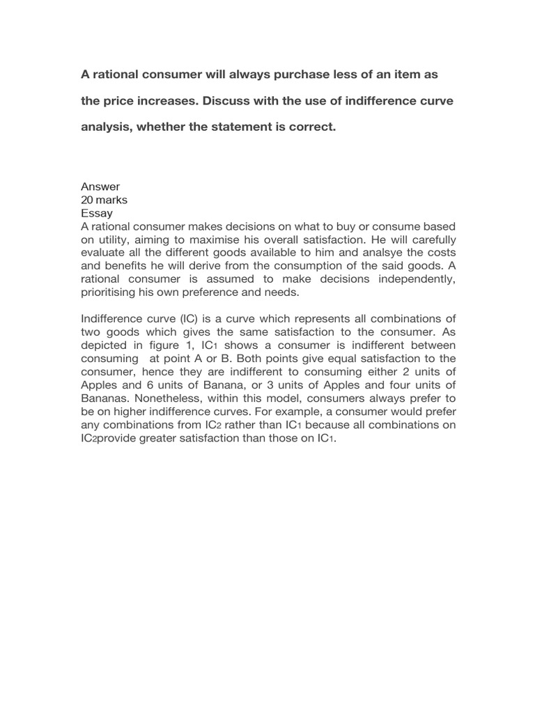 An Example Essay | PDF