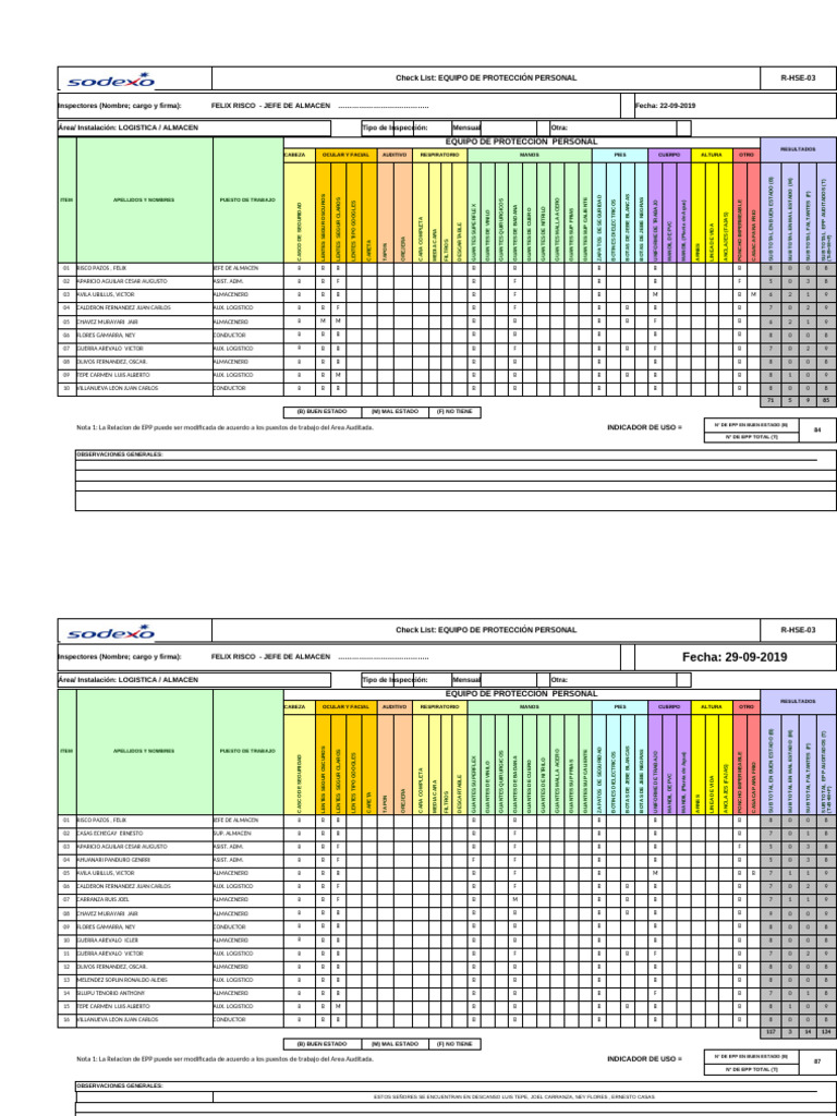 Inspeccion de Epp | PDF