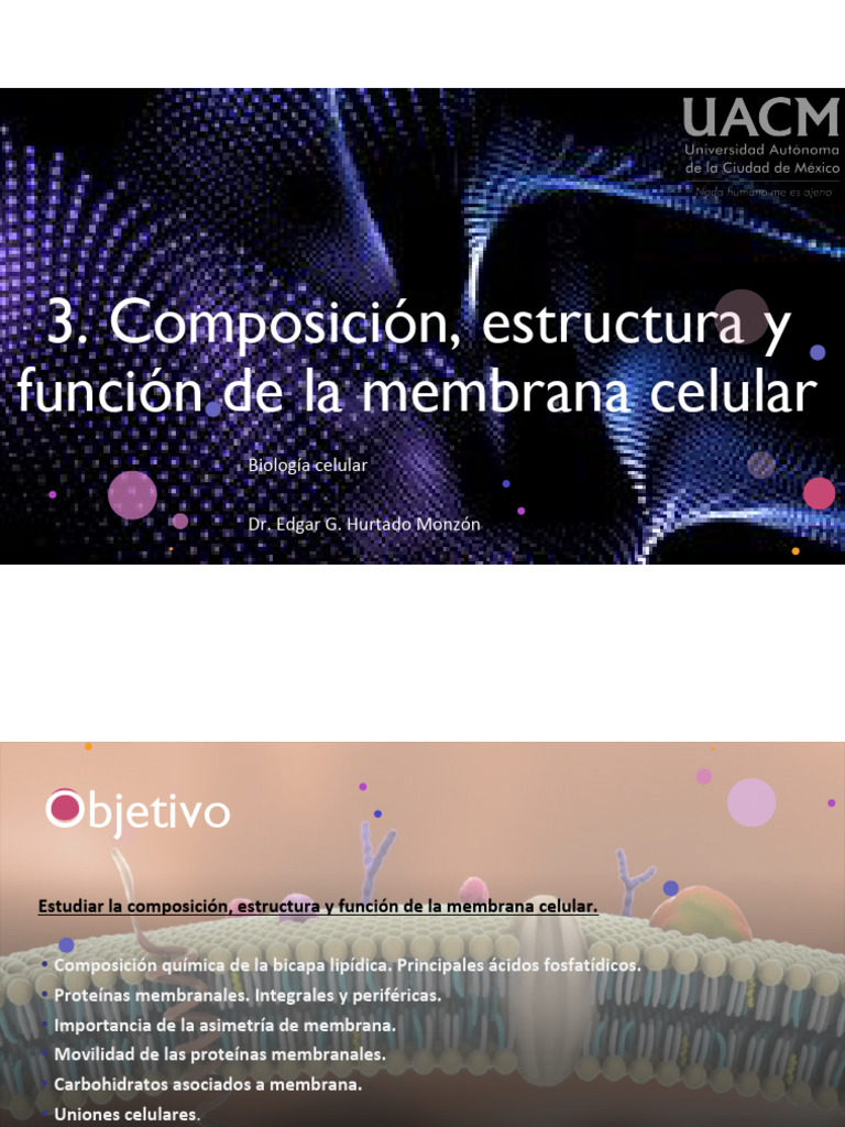 Composición, Estructura y Función de La Membrana Celular 1 | PDF