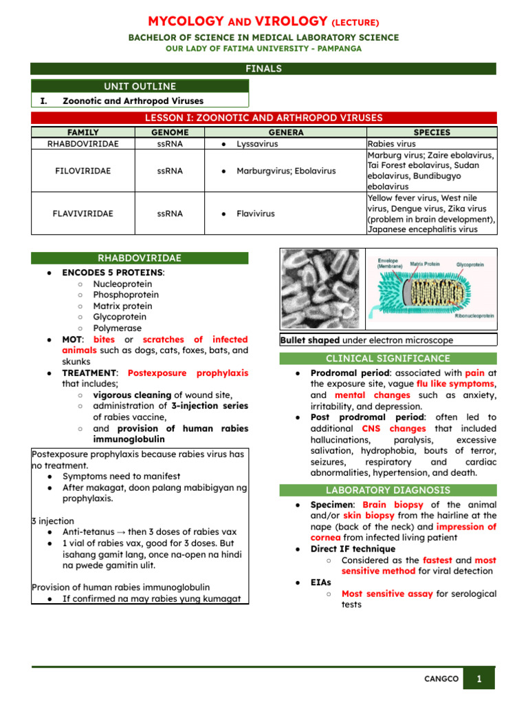 MYCV Finals Week 1 | PDF