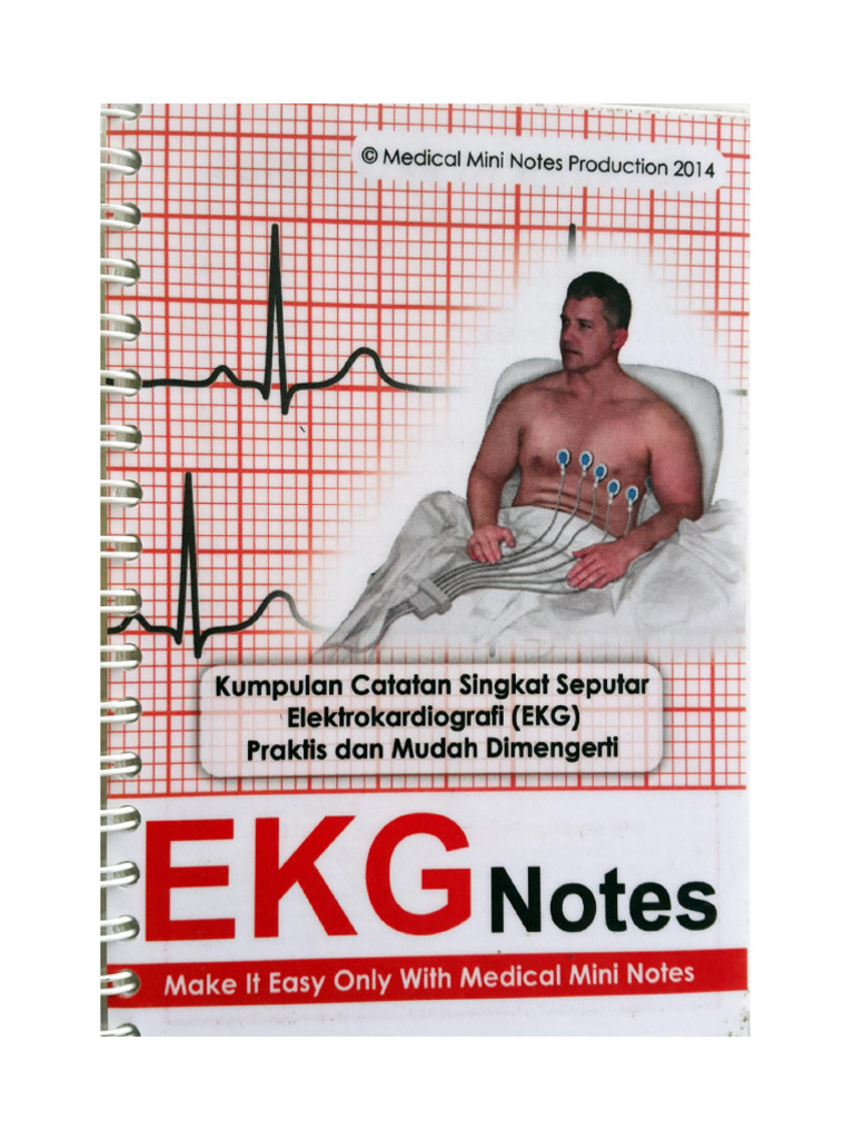 Ekg Ubungen Mit Losungen Pdf