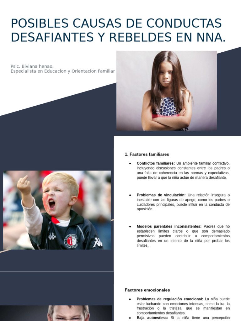 Posibles Causas de Conductas Desafiantes y Rebeldes en Nna. | PDF