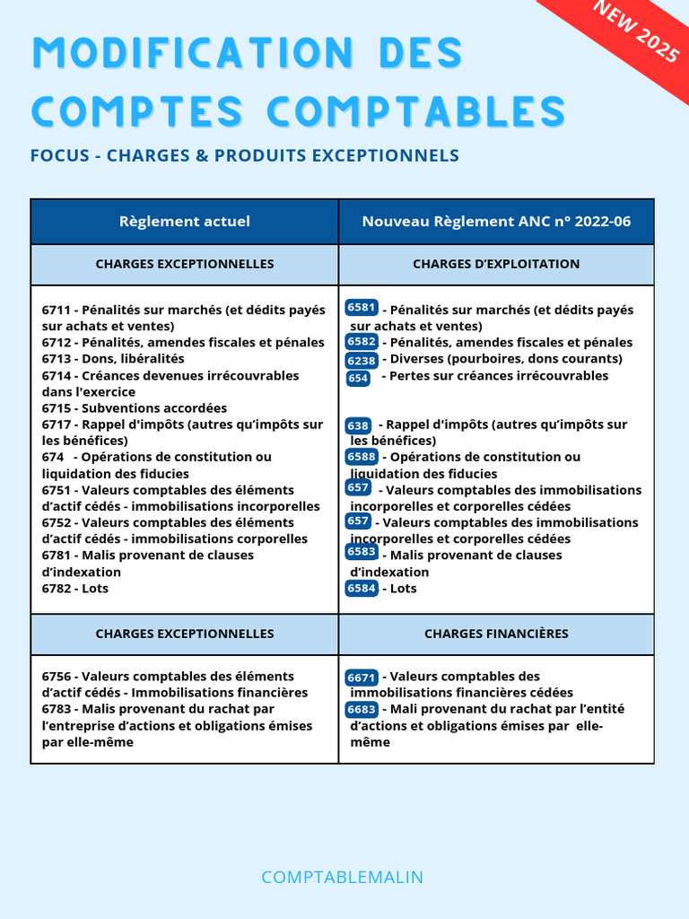 PCG 2025 - Modification Des Comptes Exceptionnels | PDF