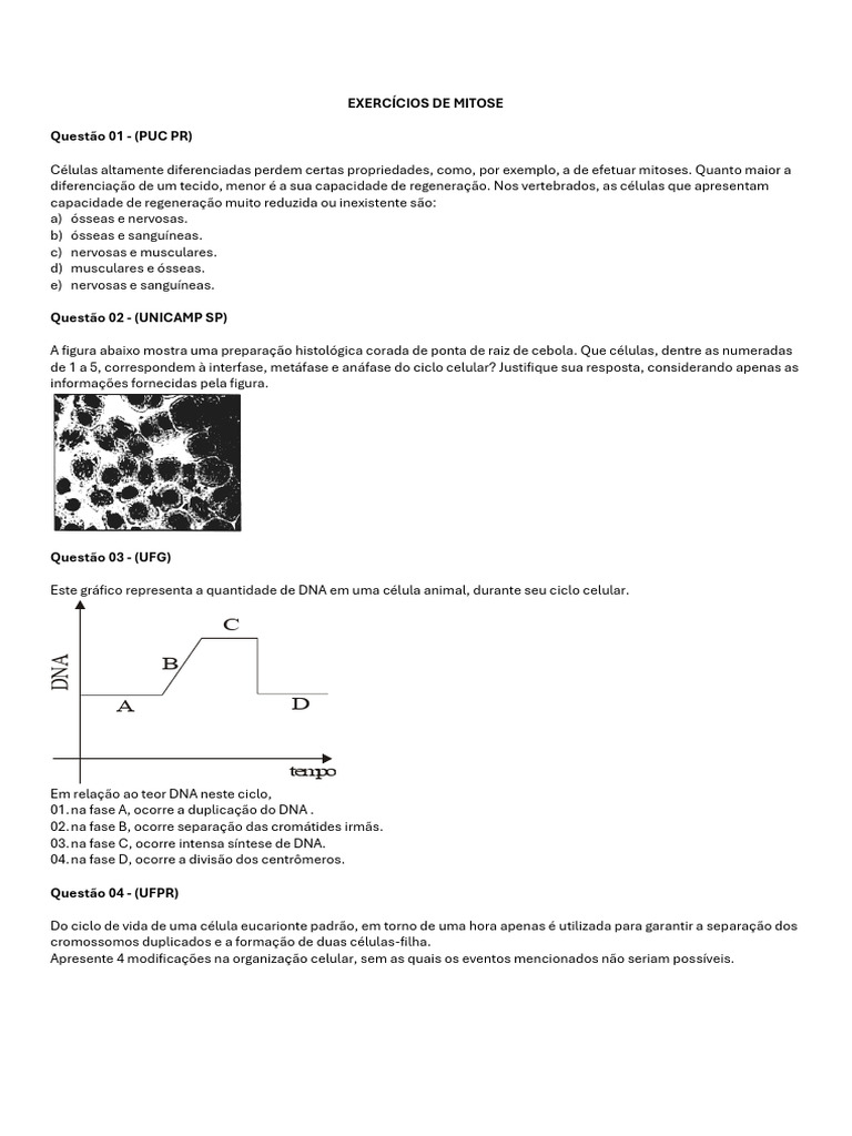 Exercícios - Mitose | PDF