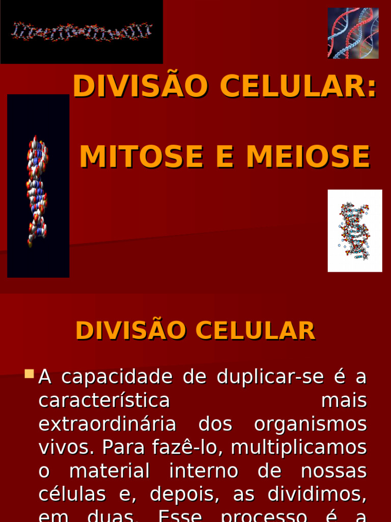 Divisão Celular Mitose E Meiose Pdf Meiose Mitose
