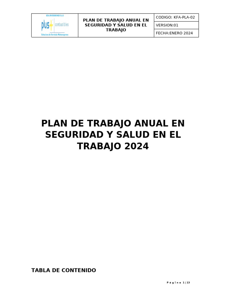 Plan de Trabajo Anual en Seguridad y Salud en El Trabajo 2024 | PDF
