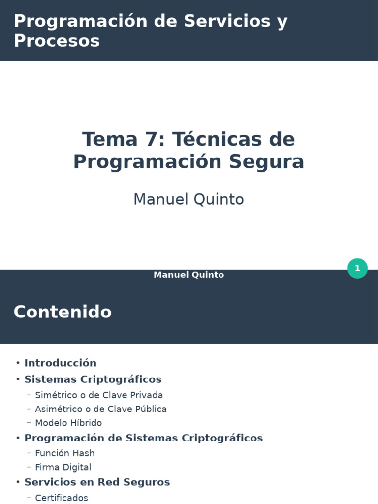 Tema 7 Programacion Segura | PDF